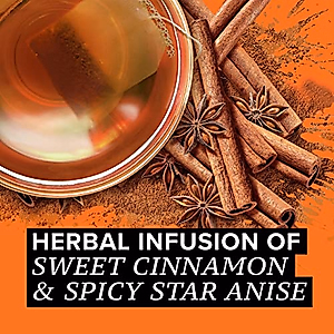 TAZO Sweet Cinnamon Spice Herbal Tea Bags, Caffeine-Free, 20 Count (Pack of 6)