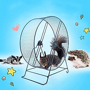 MGWYE Household Small Pet Hamster Running Wheel with Stand Running Jogging Toy Playing (Color : B)