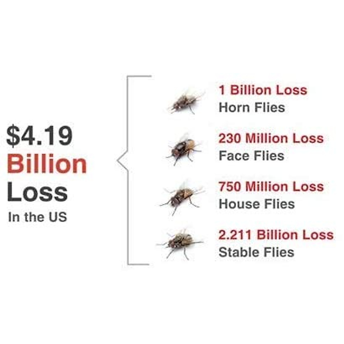 Champion USA JustiFLY Feedthrough Cattle Fly Control, 6 Pack | Non-Toxic Larvicide. Controls All Four Fly Species That Affect Cattle. Over 50 Million Head Treated (6 Pack)