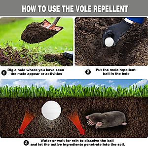 36 Pack Mole Repellent for Lawns, Natural Vole Repellent Gopher Repellent and Groundhog Repellent Outdoor Use, Getting Rid of Moles and Voles from Lawn Yard Garden, Mole Deterrents Plant Safe