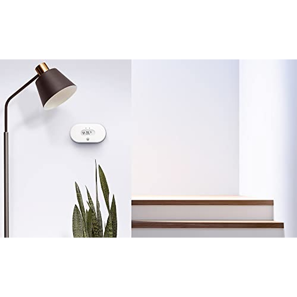 Airthings 2989 View Radon - Radon Monitor with Humidity & Temperature Detector - Battery Powered Mobile APP, WiFi, Alerts & Notifications