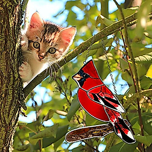 Bluebird and Cardinal Stained Glass Window Hanging Bird Suncatcher for Window