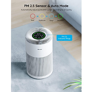 Govee Air Purifiers Pro for Home Large Room up to 1837ft² with PM2.5 Sensor, WiFi Smart Home Air Purifier Large Room, H13 True Hepa Air Purifier for Smoke, Pet Hair, Odors, 24dB Air Cleaner, Auto Mode