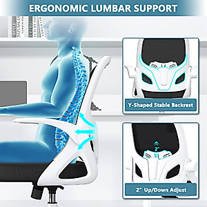 Kensaker Home Desk Chair with Back Supportive Lumbar Support, Breathable Double Mesh Cushion Home Desk Office Chair with Flip up Arms, Modern Ergonomic Home Desk Office Chair for Home and Work(White)