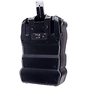 Karaoke USA GF920 Rechargeable Portable Bluetooth CDG-MP3G Karaoke Machine and PA System with 2 Microphones