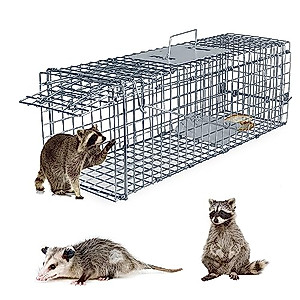 Moclever Humane Rat Trap Cage Catch Release Live Rat Traps Live Traps for Rat Live Animal Rodent Cage Collapsible Galvanized Wire for Small Raccoons Beavers Groundhogs Foxes Armadillos-23.3X7.7X7.2In