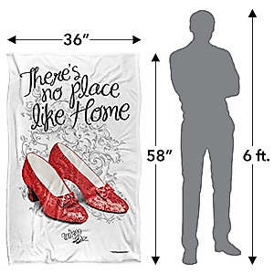 The Wizard of Oz No Place Like Home Silky Touch Super Soft Throw Blanket 36" x 58"