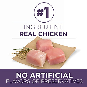 Purina ONE High Protein Dry Senior Dog Food Plus Vibrant Maturity Adult 7 Plus Formula - 8 lb. Bag