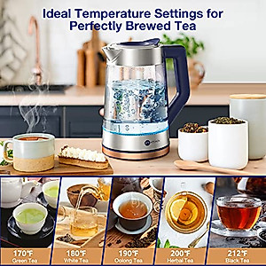 JOY Kitchen Electric Kettle Temperature Control, 1.7L Glass Tea Kettle with LED Display, Digital Temperature Color Indicators, 1 Hour Keep Warm, Auto Shut Off and Boil Dry Protection, 1500W