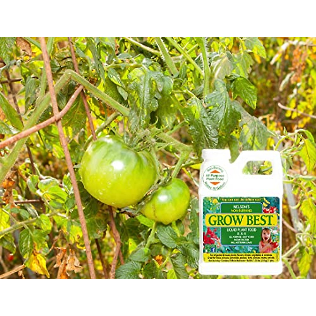 Grow Best 8-8-8 Liquid Plant Food