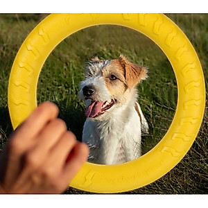 Leitee 2 Pack Dog Ring Toys Indestructible Dog Toys Dog Chewing Ring Toy Flying Discs Floating Dog Training Tools Pet Fetch Toy for Small Medium Large Dogs Throwing, Catching, Flying