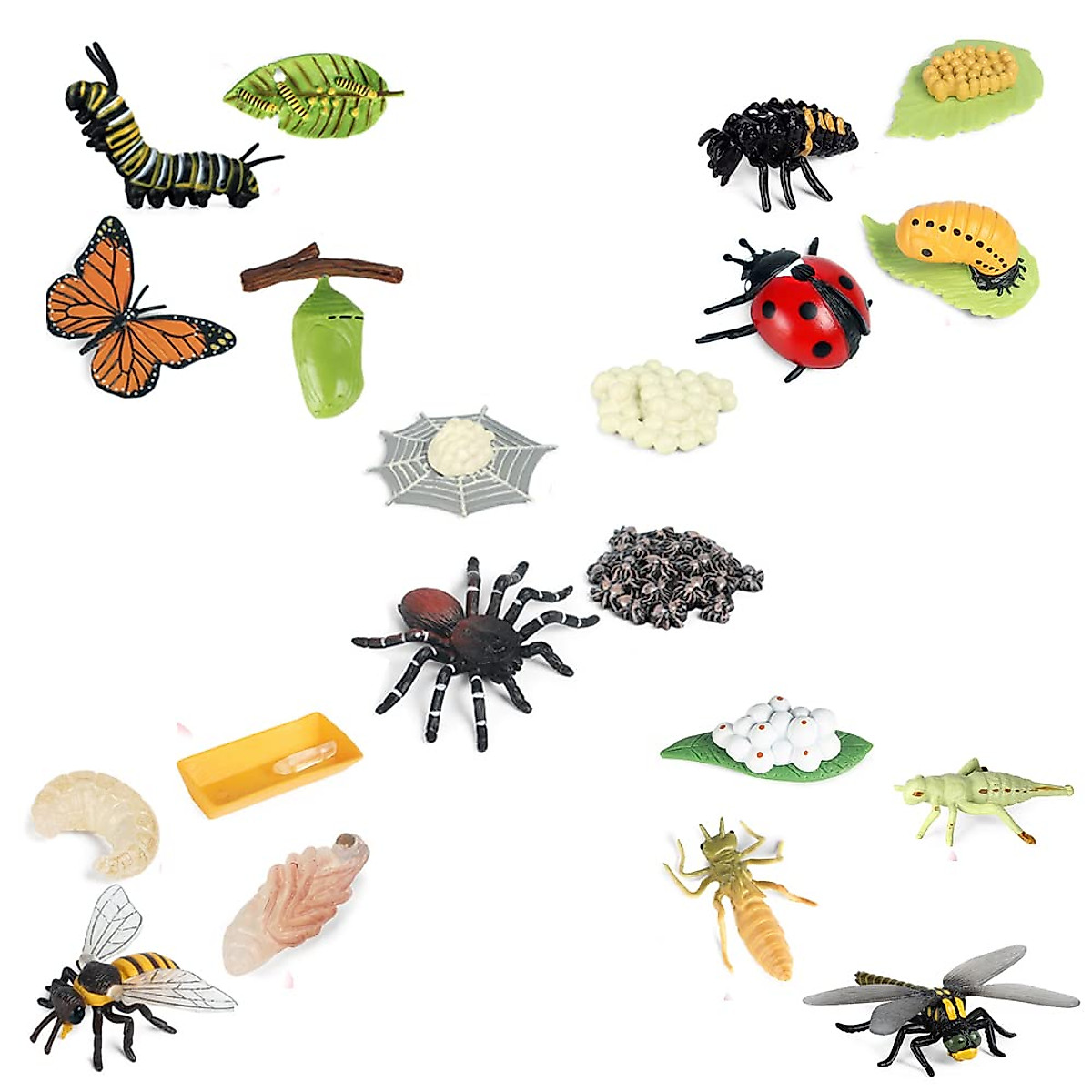 20 PCS Life Cycle Figurines of Butterfly Spider Bee Ladybug Dragonfly, Plastic Insect Bug Figures Toy Kit, Early Education Growth Stage Model Biology Science Toys School Project for Kids Toddlers