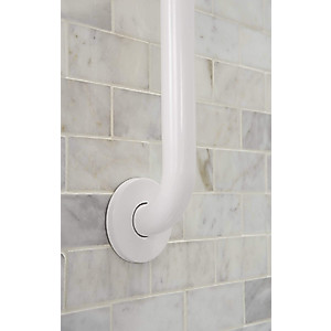 Moen Bathroom Safety 24-Inch Shower Grab Bar with a Slip-Resistant Peened Texture and Concealed Screws for Handicapped or Elderly, R8724P