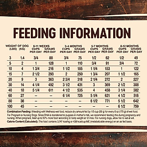 Wellness CORE RawRev Dry Puppy Food with Wholesome Grains, Natural Ingredients, Made in USA with Real Freeze-Dried Meat (Puppy, Turkey, 4 Lbs)