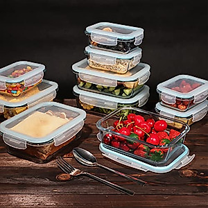 Yenwily Glass Food Storage Container with Lids, 10 sets Container big+small size, Microwave Dishwasher Refrigeration safety,Airtight, BPA Free, Meal Prep Containers for Kitchen, Home Use