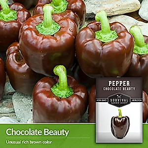 Survival Garden Seeds - Chocolate Beauty Pepper Seed for Planting - Packet with Instructions to Plant and Grow Beautiful Brown Bell Peppers in Your Home Vegetable Garden - Non-GMO Heirloom Variety