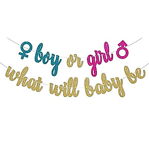 Pre-Strung Boy or Girl What Will Baby Be Banner, Gold Blue Pink Glitter Gender Reveal Decorations, He or She, Blue or Pink, Boy or Girl We Love You Banner, Baby Shower Gender Reveal Party Supplies