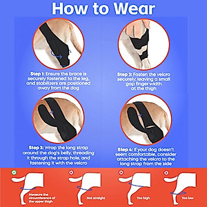 dreamynini Dog Knee Brace for Torn Acl Hind Leg, Dog Hip Support Brace for Cruciate Ligament Injury, Hip Dysplasia, Better Recovery with Adjustable Dog Leg Braces for Back Leg or Front Leg - Medium