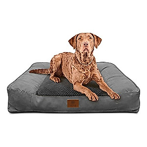 American Kennel Club AKC Memory Foam Sofa Pet Bed, Gray Popcorn Fur,X-Large (AKC-1882 Gray)