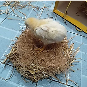 Lucky Interests Coconut Fiber, 9oz. Comfortable Bedding for Small Birds and Animals, Nest Material for Nest Building, Hideouts, Plants and Upholstery