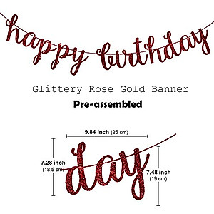 Burgundy Pink Birthday Decorations for Women Grils, Pink Birthday Decoration Set with Birthday Banner, Paper Pom Poms, Circle Dot Garland and Tassel Garland for Women Grils kids Birthday Party Decor