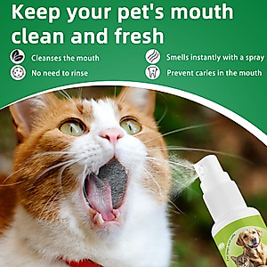 Pet Oral Health Care, Pet Teeth Cleaning,Oral Cleaning Freshens Breath Without Brushing,Reducing Pet Tartar Build-up,Oral Hygiene Spray for Dogs and Cats, Fresh Breath for Dogs,Pet Oral Deodorizer