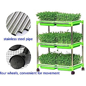 JMESTOHP 3 Layers Seed Sprouting Kit for Seed Sprouter Tray BPA Free for Alfalfa Sprouts Wheatgrass Grower Sprouting, Stainless Steel Shelf for Seed Sprouting Tray