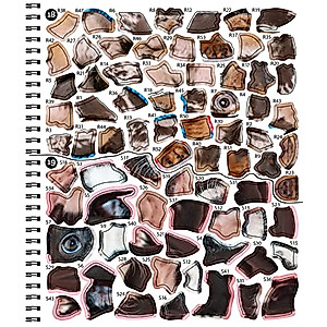 Brain Games - Sticker by Number: Dog-Gone It (28 Images to Sticker)