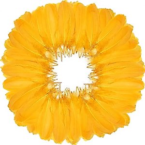 FeelfunFeather 120pcs Golden Yellow Goose Feathers 6-8 Inch 15-20cm Decorative Natural Goose Nagoire Feather Bulk for DIY Crafts Cosplay Wedding Party Christmas Halloween Home Decoration