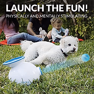 iFetch Interactive Ball Launcher for Dogs – Launches Mini Tennis Balls, Small,Multicolored
