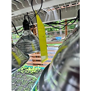 Stiky Strips Plant Stakes for Potted Plants (10 Pack)