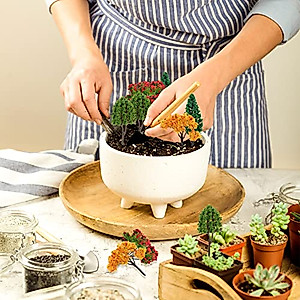 Cobee Miniature Model Trees, 10 Pieces Mini Fairy Garden Tree Ornament Miniature Dollhouse Pots Decor Train Scenery Architecture Trees Model for Moss Micro Landscape DIY Craft