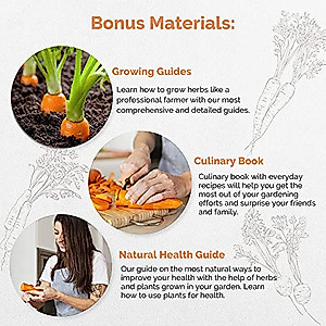 10 Carrot Seeds Variety for Planting in Home Garden Indoor & Outdoors. Plant Non GMO Heirloom Carrots Garden Seeds Rare Cosmic, Rainbow, Purple Carrot Seed Packets in Bulk Vegetable Seeds Variety Pack