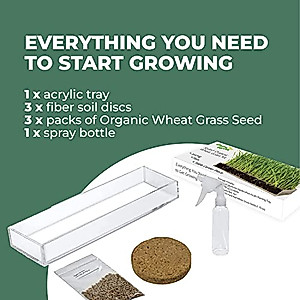 Organic Wheatgrass Growing Kit with Style x 3 – Plant an Amazing Wheat Grass Home Garden, Juice Healthy Shots, Great for Pets, Cats, Dogs. Complete with Stunning Tray and Accessories. (3-Pack)