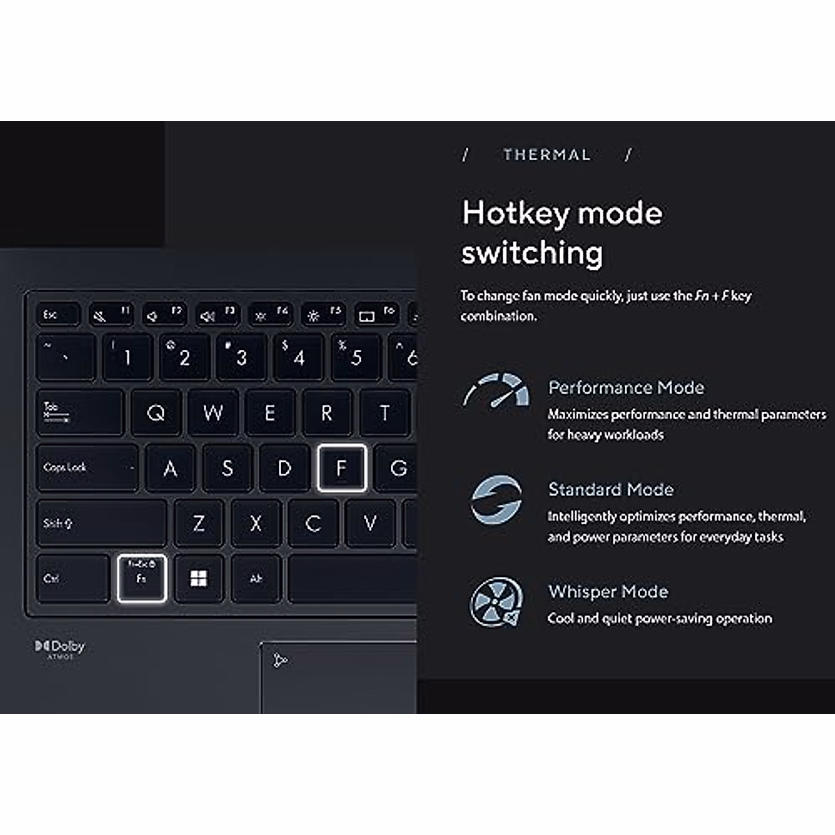 asus Zenbook 14.5'' 2.8K(2880x1800) 120Hz OLED Laptop | EVO 14-Core i7-13700H | 16GB DDR5 | 100% DCI-P3 | WiFi 6E | 2X Thunderbolt 4 | Widnows 11 Home | w/HDMI (16GB LPDDR5 RAM | 512GB PCIe SSD)