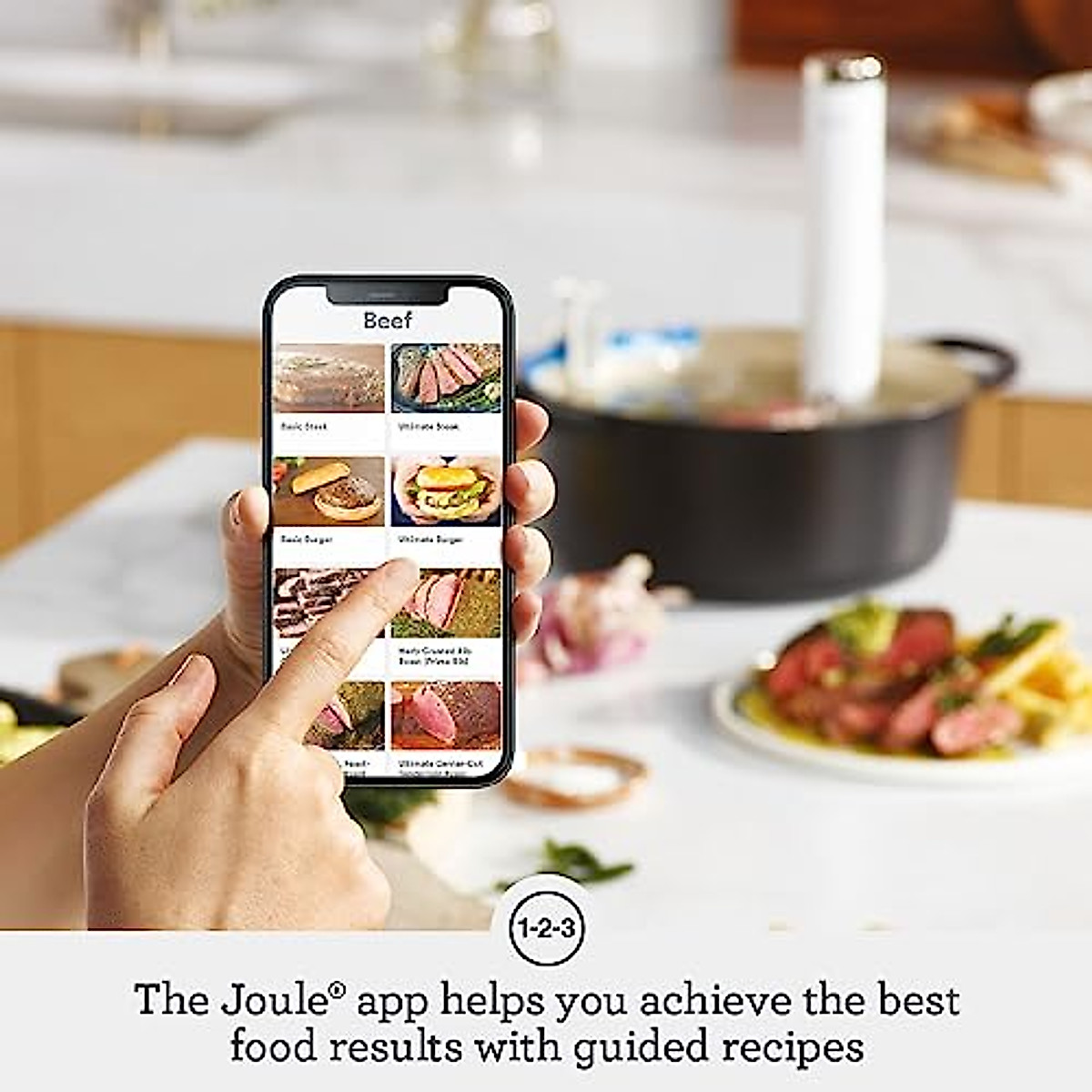 Breville the Joule Turbo Sous Vide Machine, Sous Vide Cooker, Immersion Circulators, BSV600