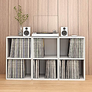 Way Basics Vinyl Record Storage - 2 Tier Book Shelf Turntable Stand (Fits 170 Albums)
