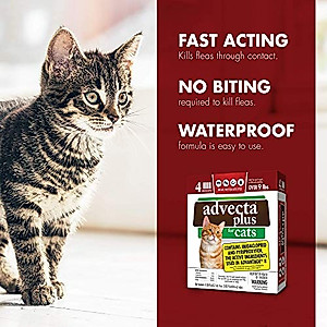 Advecta Plus Flea Prevention For Cats, Cat and Kitten Treatment & Control, Small and Large, Fast Acting Waterproof Topical Drops, 4 Month Supply