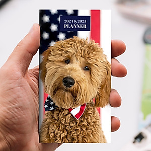 TF PUBLISHING 2024-2025 USA Doodle Dog 2-Year Small Monthly Pocket Planner | 2-Page Large Calendar Grid and Lined Notes Section in Back | Monthly Day Planner for Purse | 3.5" x 6.5"