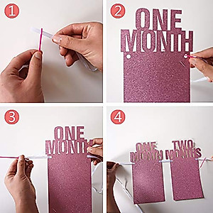 First Birthday Party Photo Banner, Baby Sign Decors from New Born to Twelve Months, Pink Glitter Baby's 1st Birthday Party Photo Booth Bunting Supplies