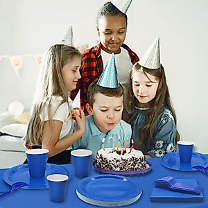 Severs 25 Guests Blue Party Supplies Set Include 9-inch Blue Paper Plates Cups Blue Napkins and Tablecloth,Blue Disposable Dessert Plates for Wedding Birthday
