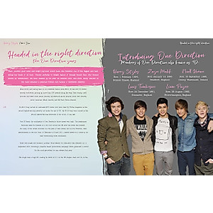 Harry Styles: Adore You: The Illustrated Biography