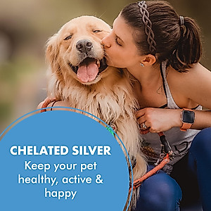 PetSilver Wound Gel with Complex AG21 & Hemp Oil | Chelated Silver 200 ppm | Dog & Cats | Wounds | Hot Spots | Itches | Skin Irritations | Burns | Rashes | Sores | Homeopathic Relief | 4oz