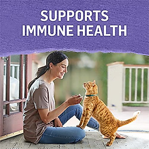 Purina Beyond Cage-Free Turkey, Sweet Potato and Spinach Recipe In Wet Cat Food Gravy - (12) 3 oz. Cans