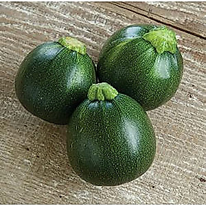 Eight Ball Squash Seeds (20+ Seeds) | Non GMO | Vegetable Fruit Herb Flower Seeds for Planting | Home Garden Greenhouse Pack