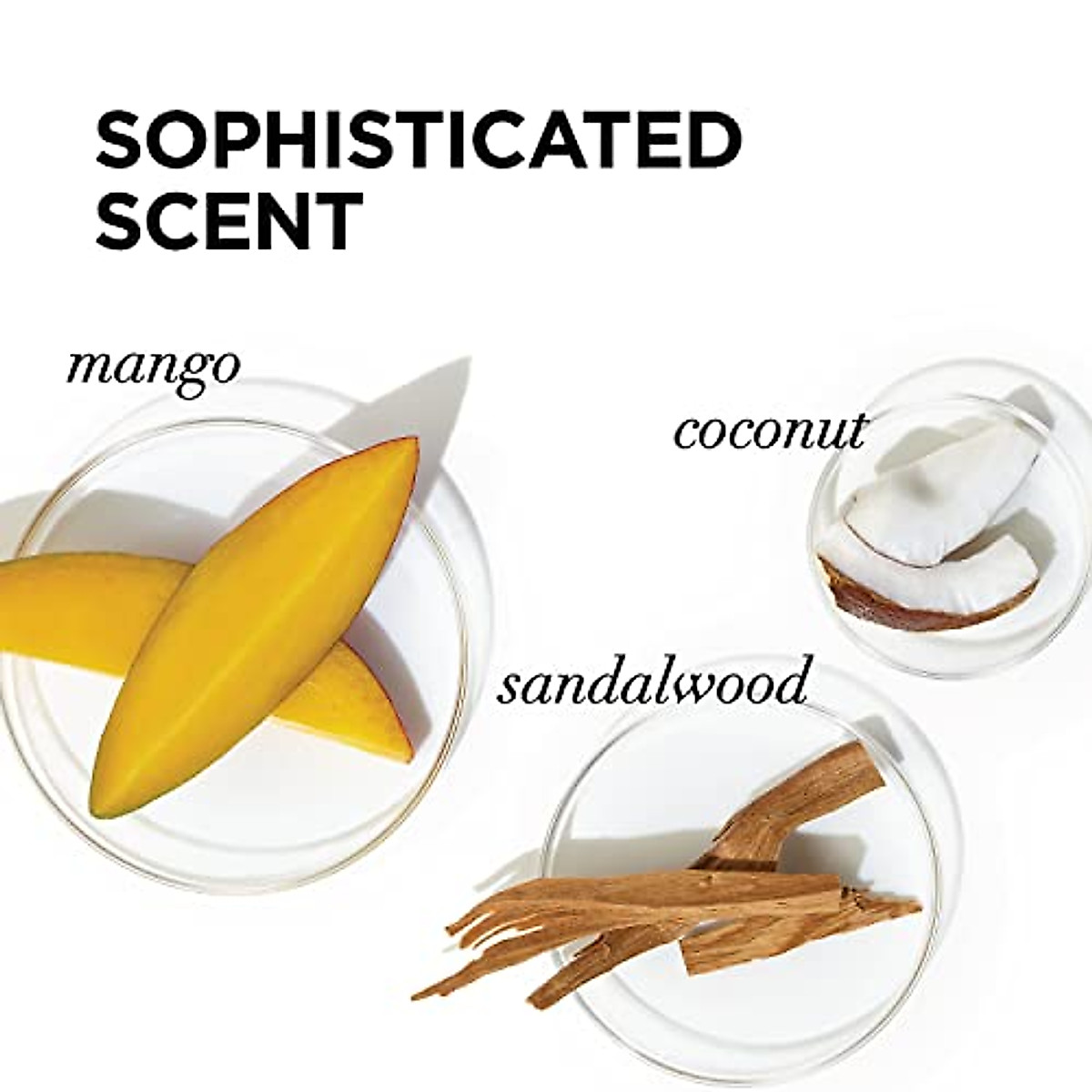 L'Oreal Paris EverCurl Sulfate Free Shampoo and Conditioner Kit for Curly Hair, Lightweight, Anti-Frizz Hydration, Gentle on Curls, with Coconut Oil, 8.5 Ounce, Set of 2 (Packaging May Vary)