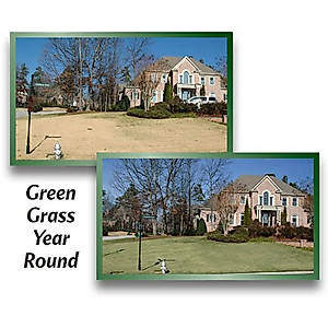 EnviroColor 4EG0032 851612002100 (1,000 Sq.Ft) 4Evergreen Grass & Turf Paint, Green