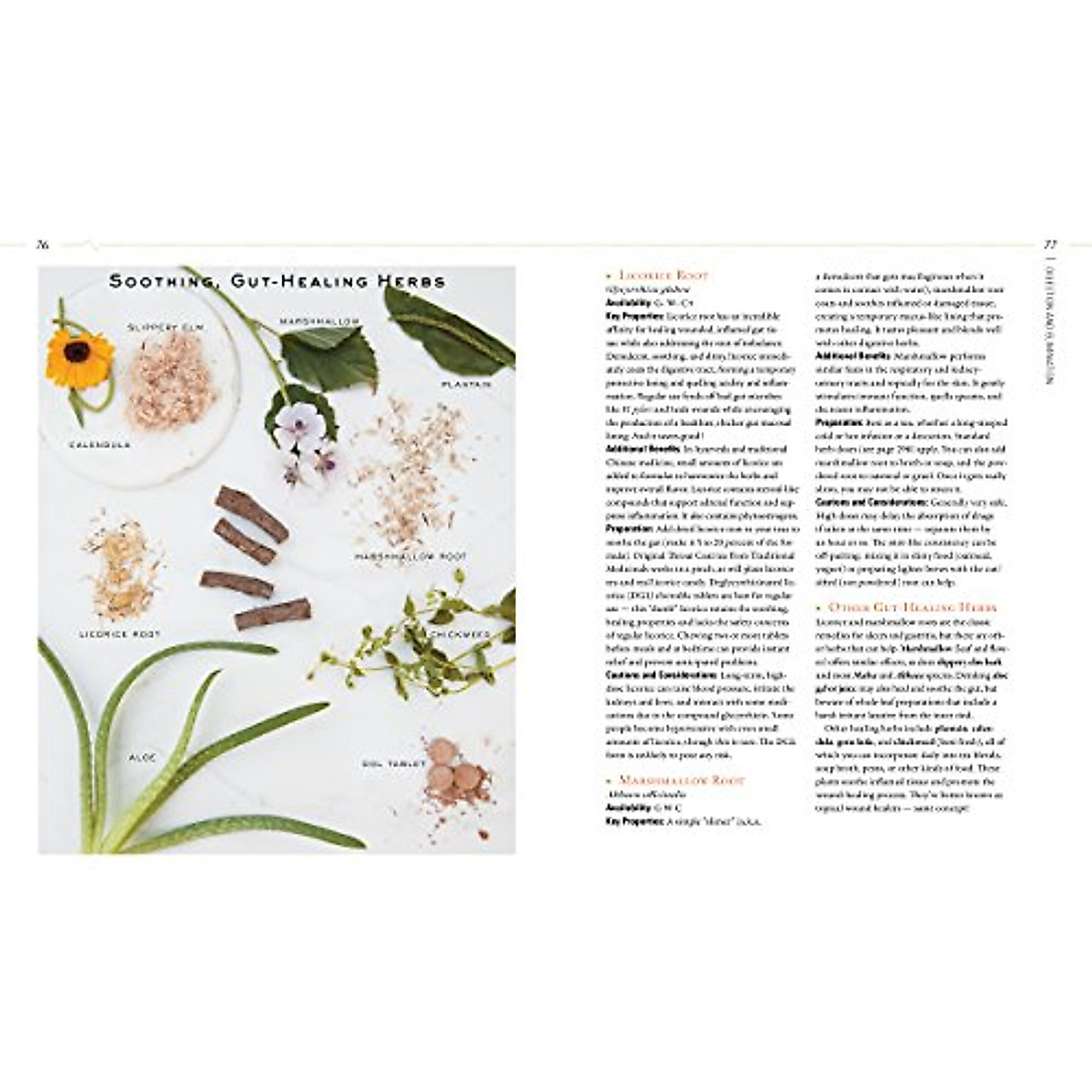 Body into Balance: An Herbal Guide to Holistic Self-Care