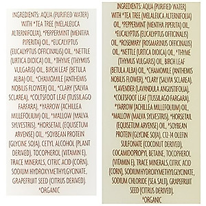 Trader Joe's Tea Tree Tingle Shampoo & Conditioner, 16 oz.