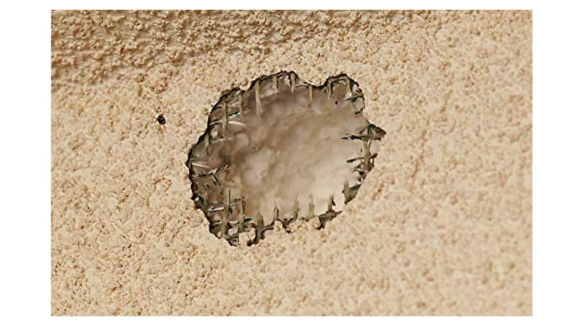 Bird Banisher Woodpecker Deterrent - Effective Bird Control Device